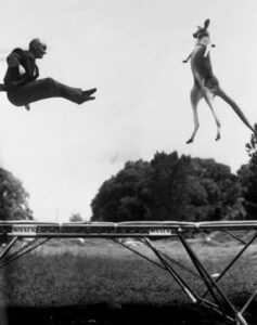 Trampoline History & Facts - ProTrampolines
